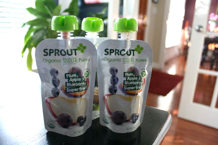 Delicious Snacks for On-the-Go Toddlers - What Mommy Does