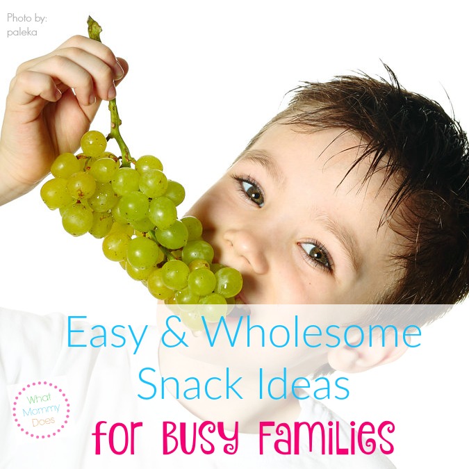 3 Easy Wholesome Snack Ideas for Busy Families - What Mommy Does