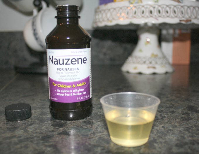 The Stomach Bug Survival Guide – 6-Point Tactical Plan for Moms - What ...