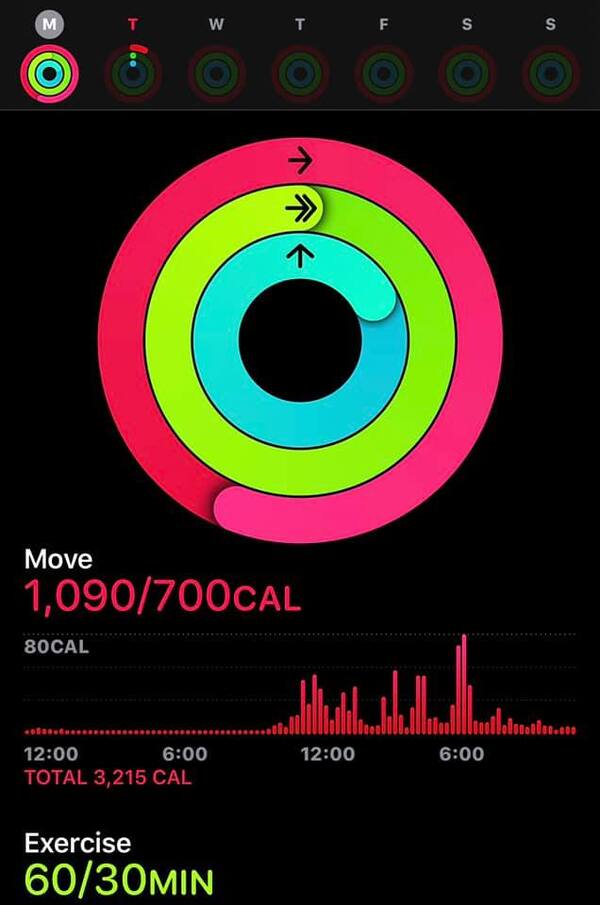 Apple Watch Challenge! Close All Your Activity Rings! - What Mommy Does