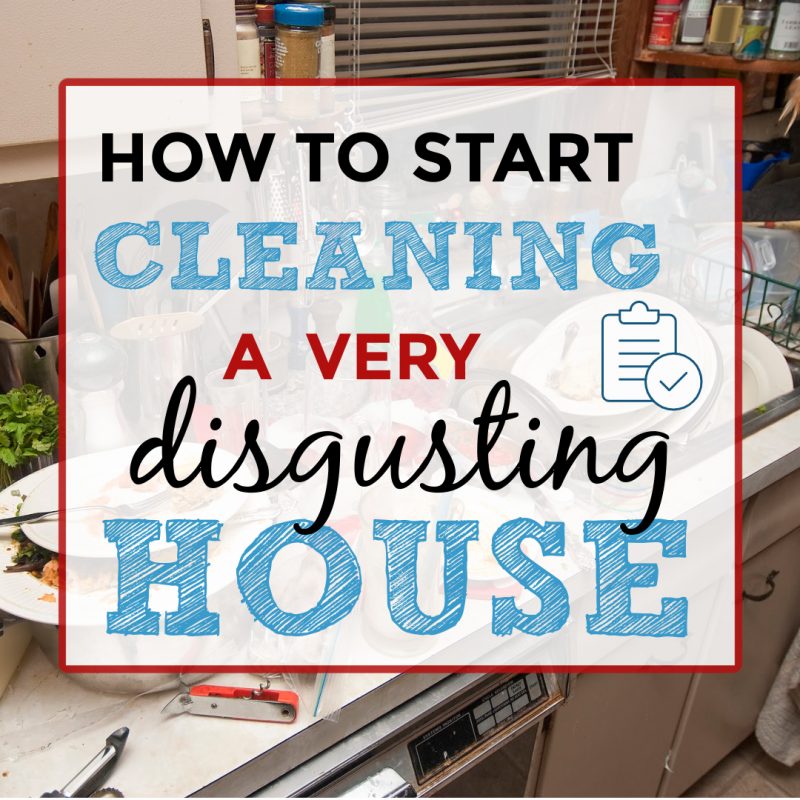 Cleaning Archives - What Mommy Does