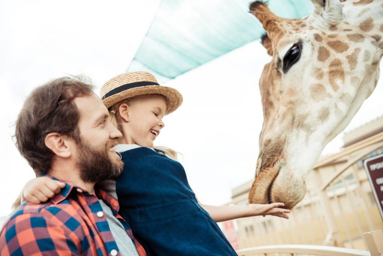 50+ Fun Family Christmas Gift Ideas for Every Budget - What Mommy Does